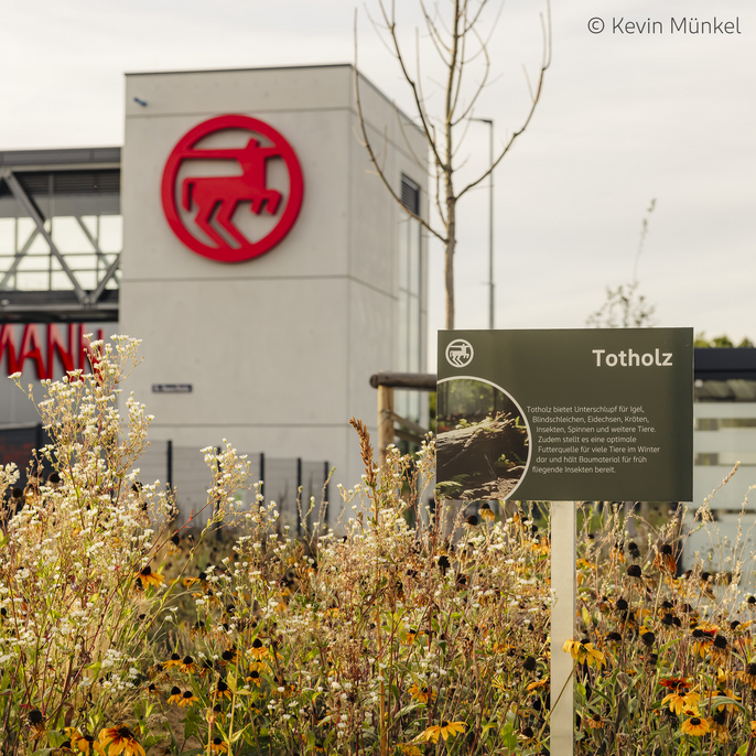 Unternehmen | Dirk Rossmann GmbH